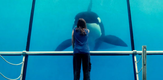 Rust and Bone | Blu-ray Review - IONCINEMA.com