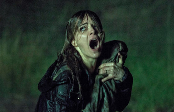 The Hallow | Review - IONCINEMA.com